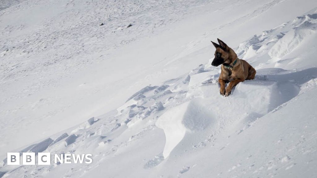 Warning climate change impacting on avalanche risk - BBC News