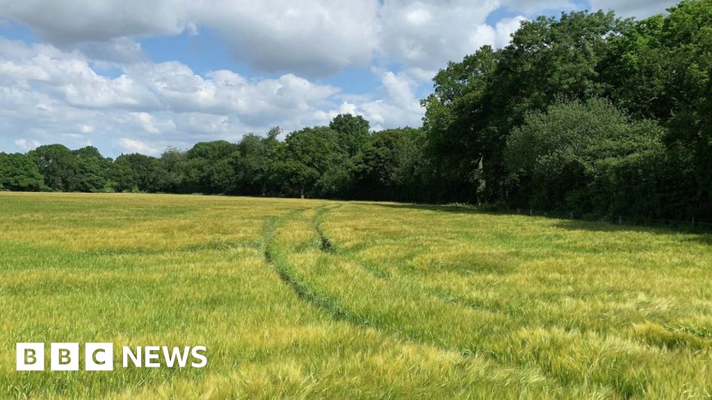Residents' concern over Swallowfield farm's sand mining plan - BBC News