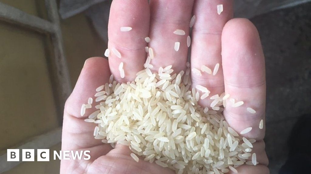 Plastic rice seized in Nigeria 'feels realistic' - BBC News