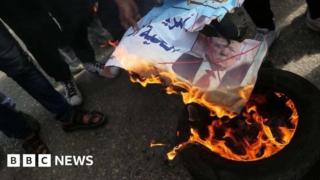 Why Trump's Middle East plan is so divisive - BBC News