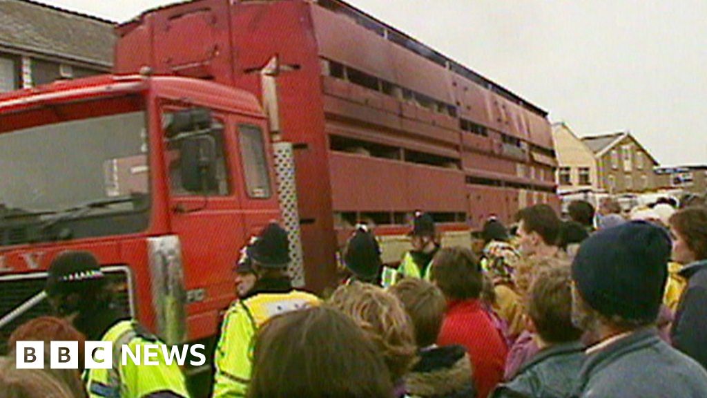 BBC Rewind: Brightlingsea hit by live animal export protests - BBC News