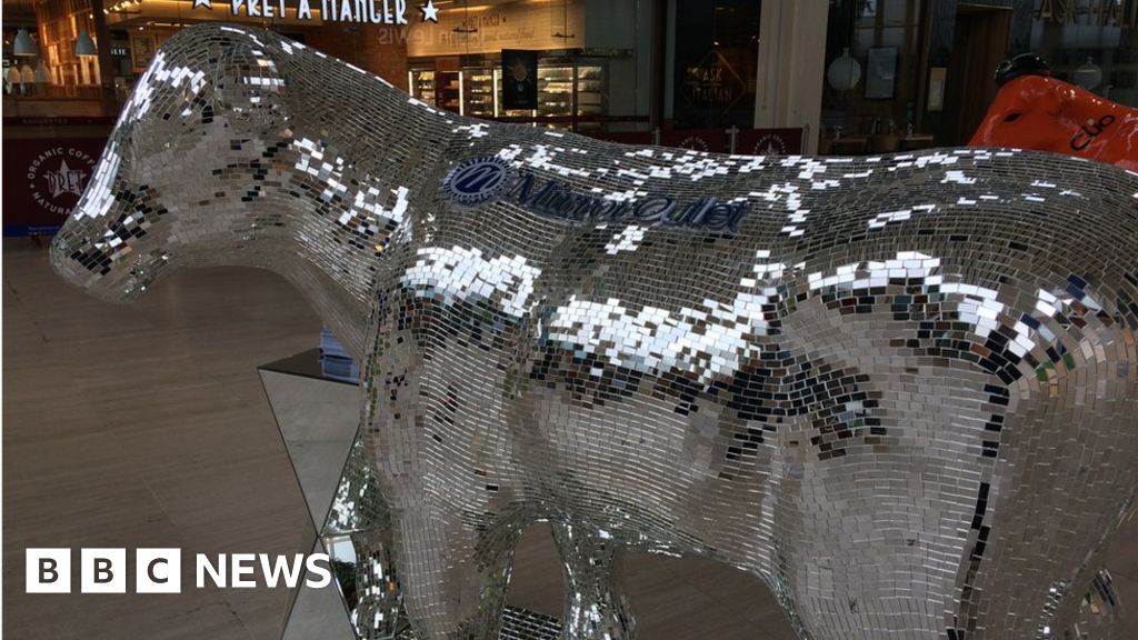 Milton Keynes cows come to celebrate 50th birthday - BBC News