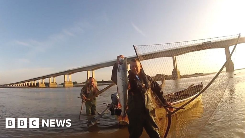 Season starts for Severn estuary lave net fishermen - BBC News