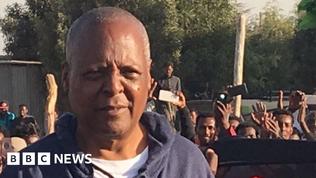 Merera Gudina, Ethiopia opposition leader, freed - BBC News
