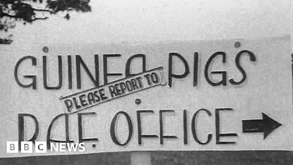 Guinea Pig Club: Memorial plan for WW2 airmen - BBC News