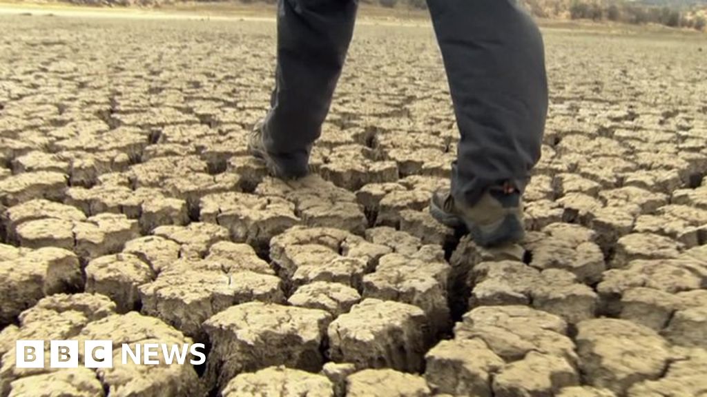 Lessons from past droughts could shape future of Namibia - BBC News