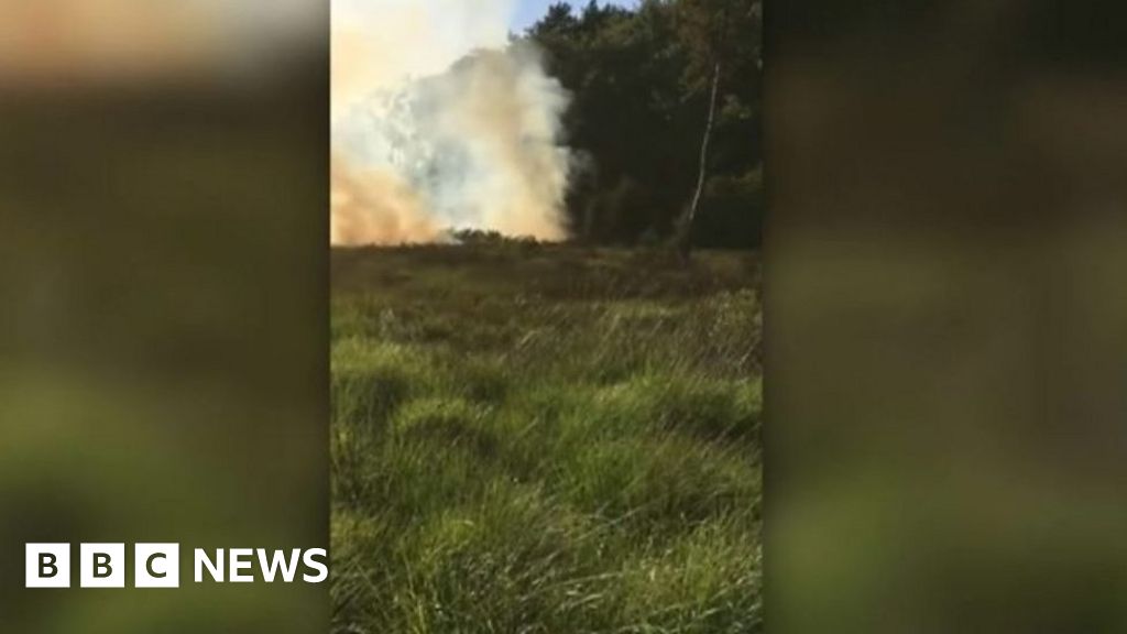 Laughton Woods grassland fire caught on camera - BBC News
