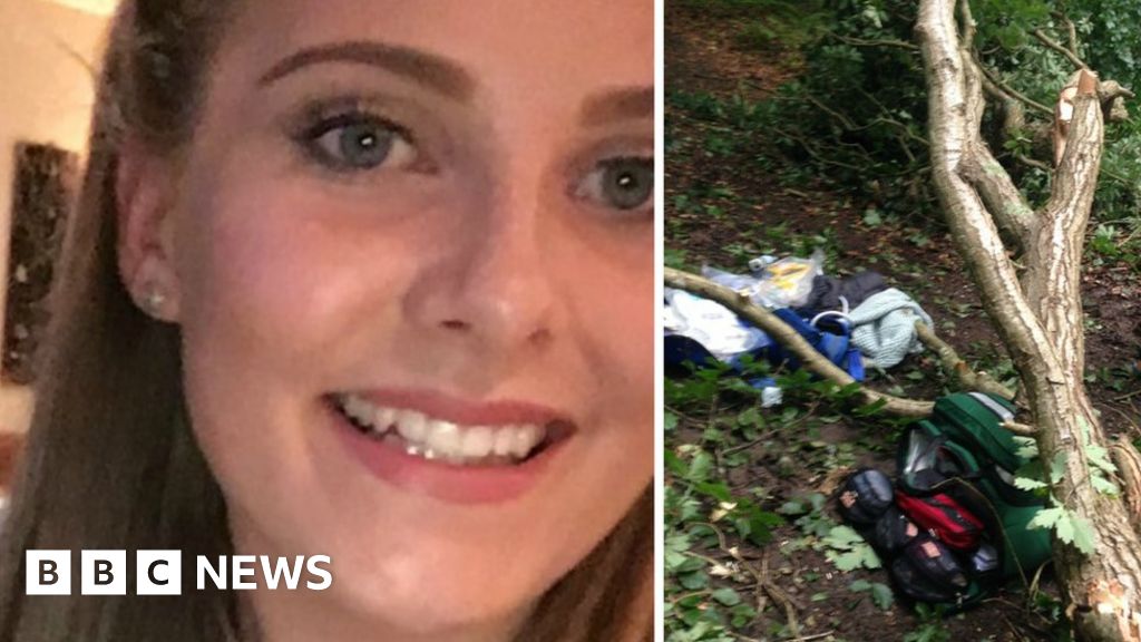 Teenager injured by falling tree branch at Plas Newydd - BBC News