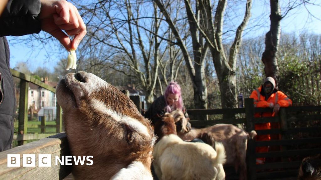 Bristol St Werburghs Farm begins crowdfunding