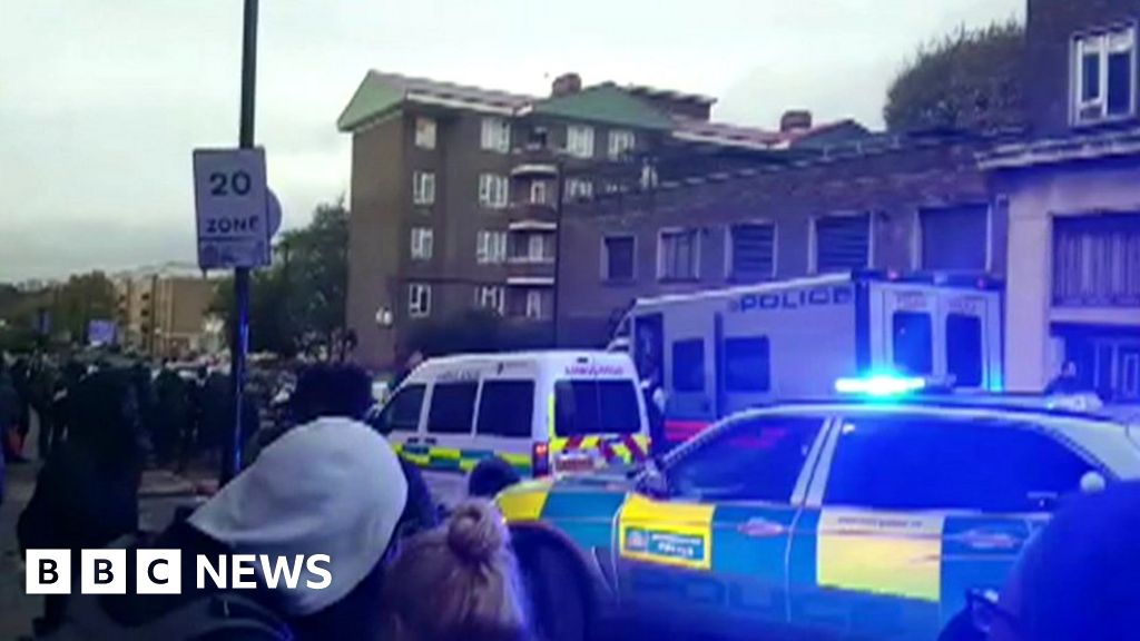 Police hurt in 'vicious' attack by pupils in New Cross - BBC News