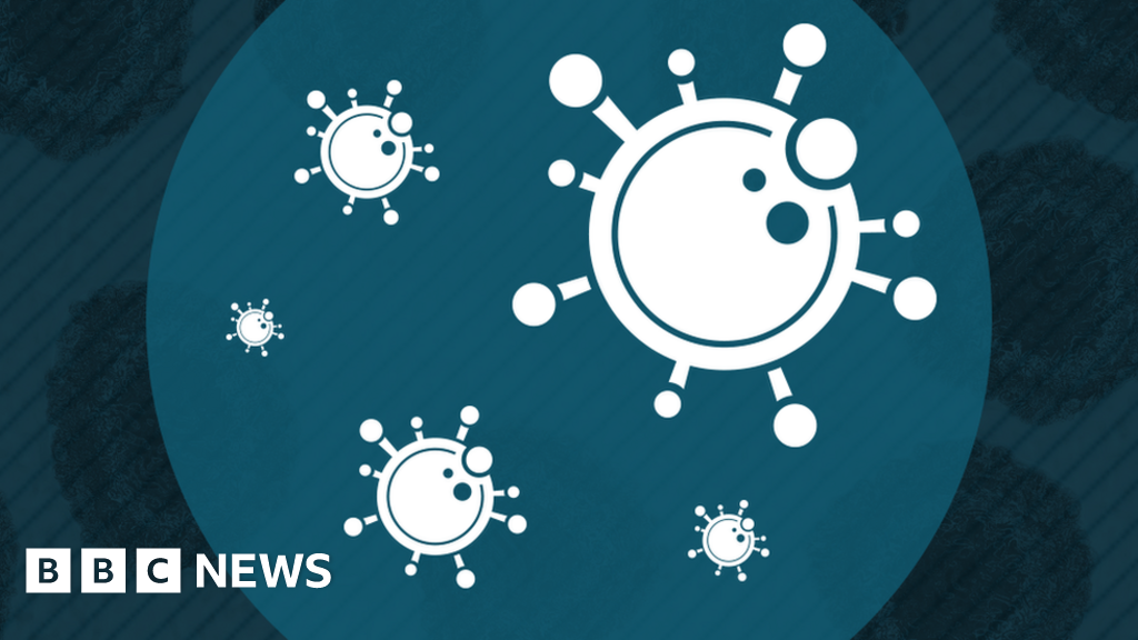 Coronavirus: What is it & what does it do to the body?