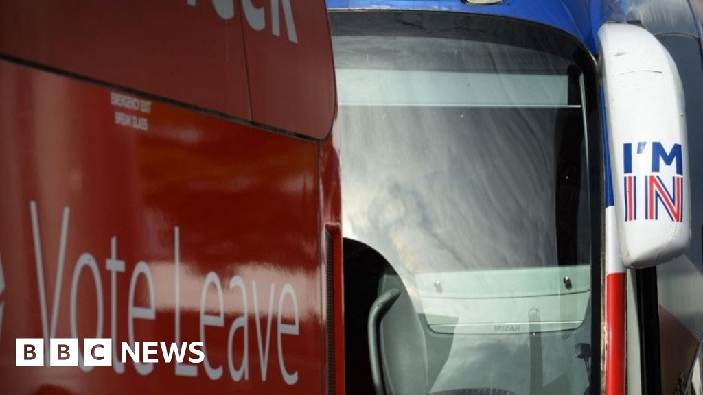 How EU referendum has changed politics, whatever the result - BBC News