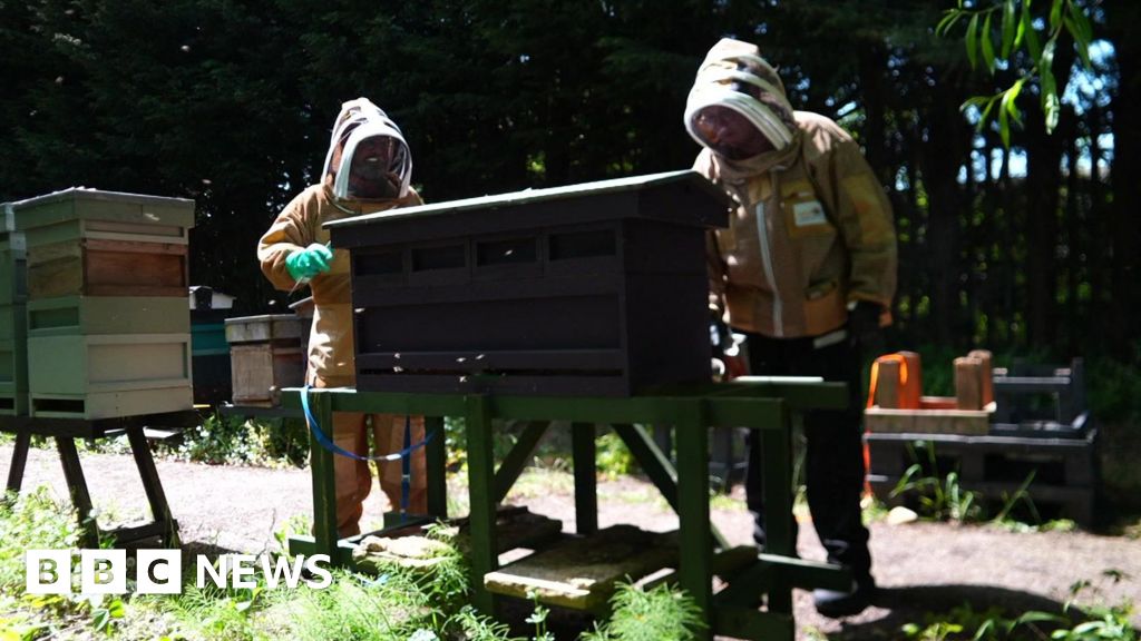 Fundraising appeal after vandals destroy Wibsey beehives