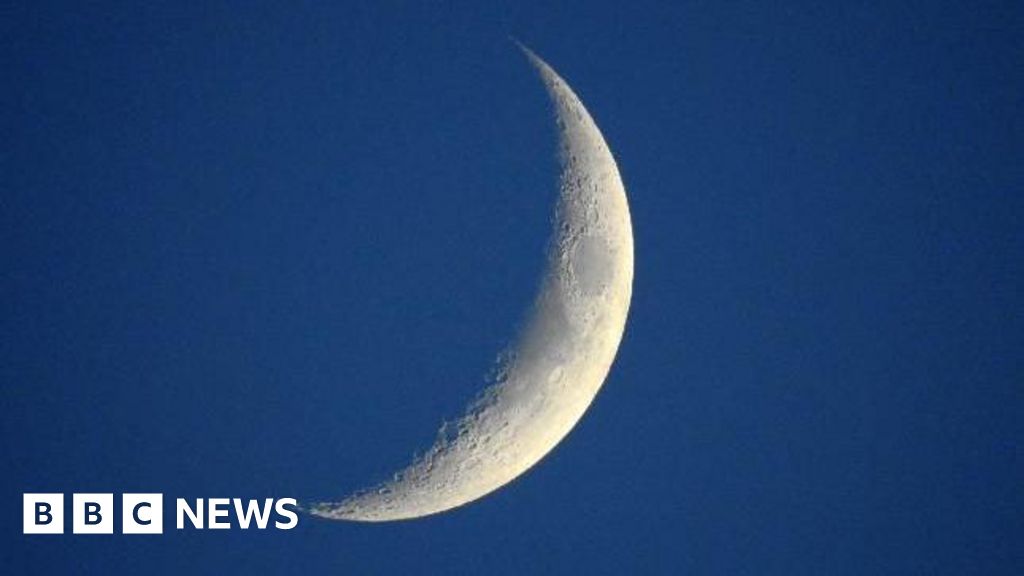 Our favourite images of the week from Surrey