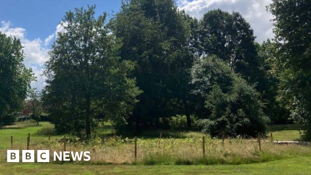Trees planted in Derby parks to mark King Charles III's coronation
