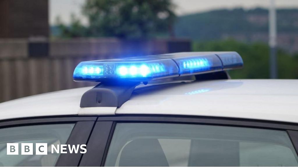 Pedestrian dies in two-vehicle A19 crash