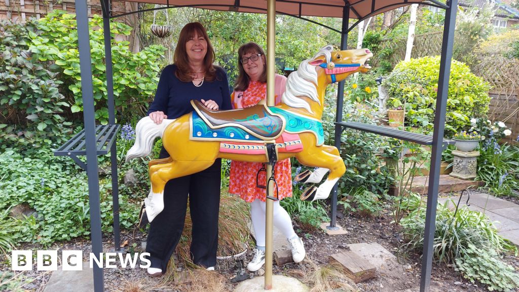 Carousel horse inspires fiction for adults with learning disabilities - BBC News