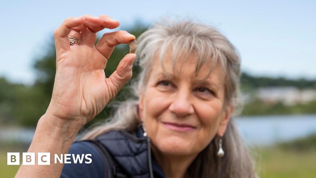 Time Team announce 2025 dates for second Sutton Hoo dig - BBC News