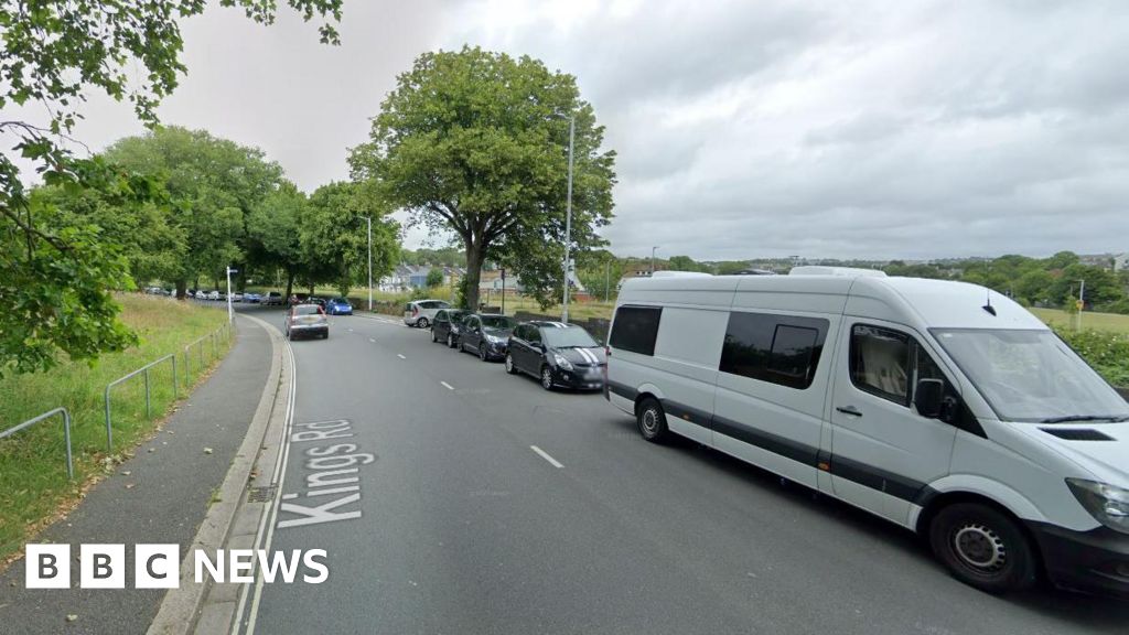 Woman suffers life-changing injuries in Devonport crash - police - BBC News