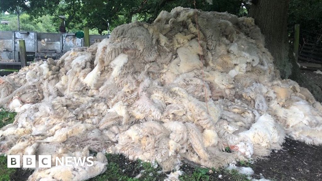 'Worthless' wool more valuable as fertiliser, says Shropshire farmer