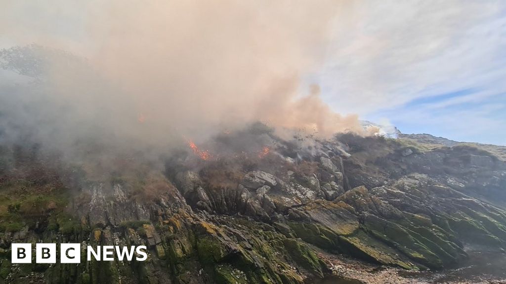 Isle of Man warning over disposal barbeque fire risk - BBC News