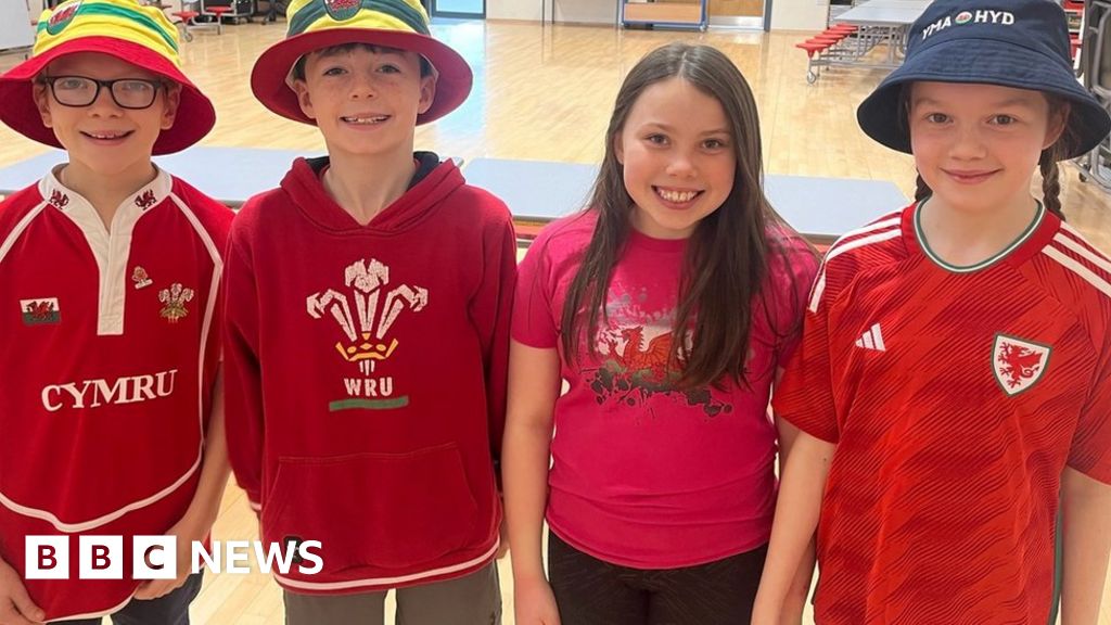 World Cup 2022: Welsh schools to cancel lessons for Wales v Iran match ...