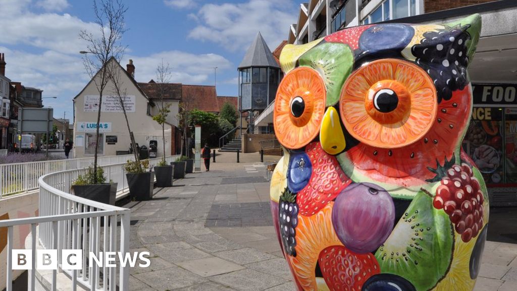 Ipswich Big Hoot owl sculptures raise £163k for hospice - BBC News