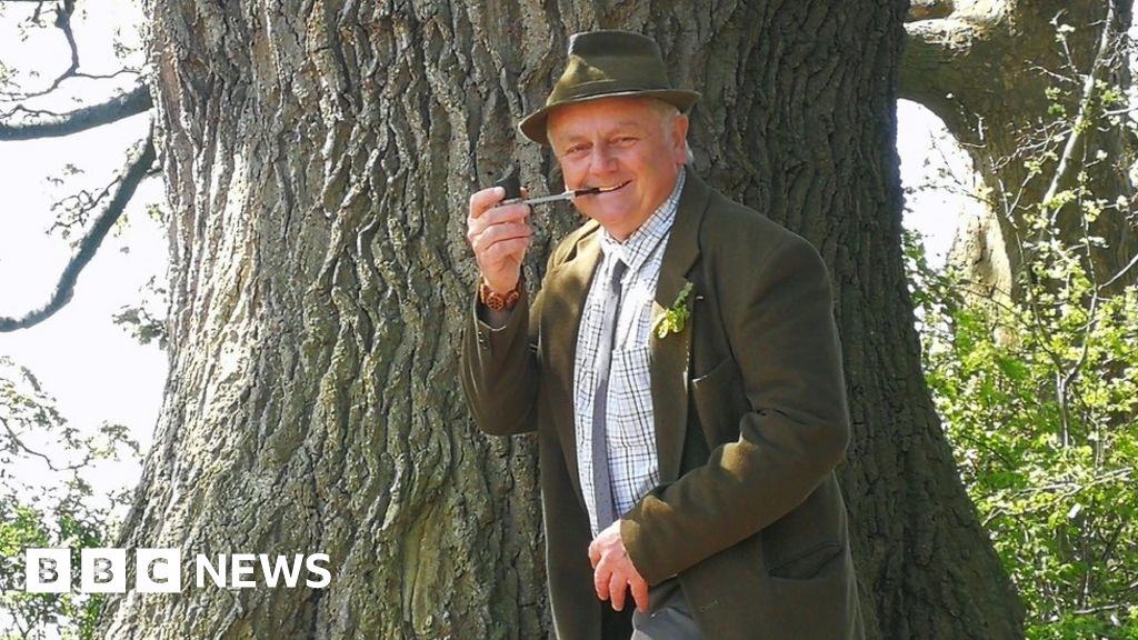 More than 100,000 sign petition to save 'Darwin Oak' - BBC News