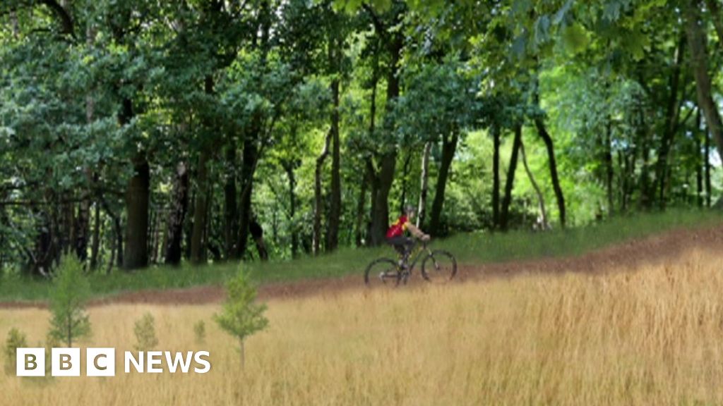 Huge urban rewilding plans for Allestree Park in Derby - BBC News