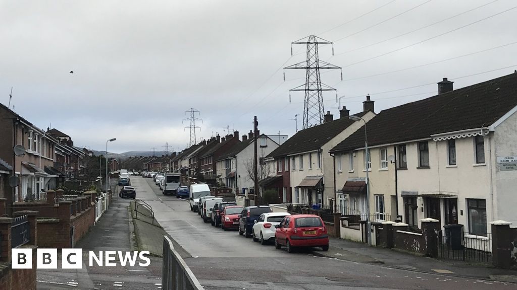 Pipe bomb partially explodes in Belfast garden - BBC News