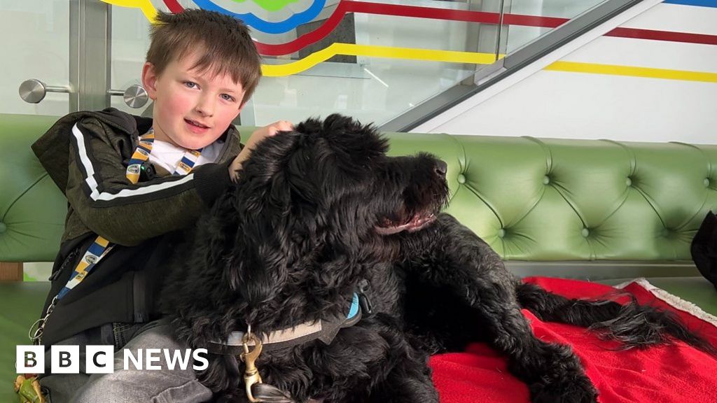 Assistance dog becomes friend to boy