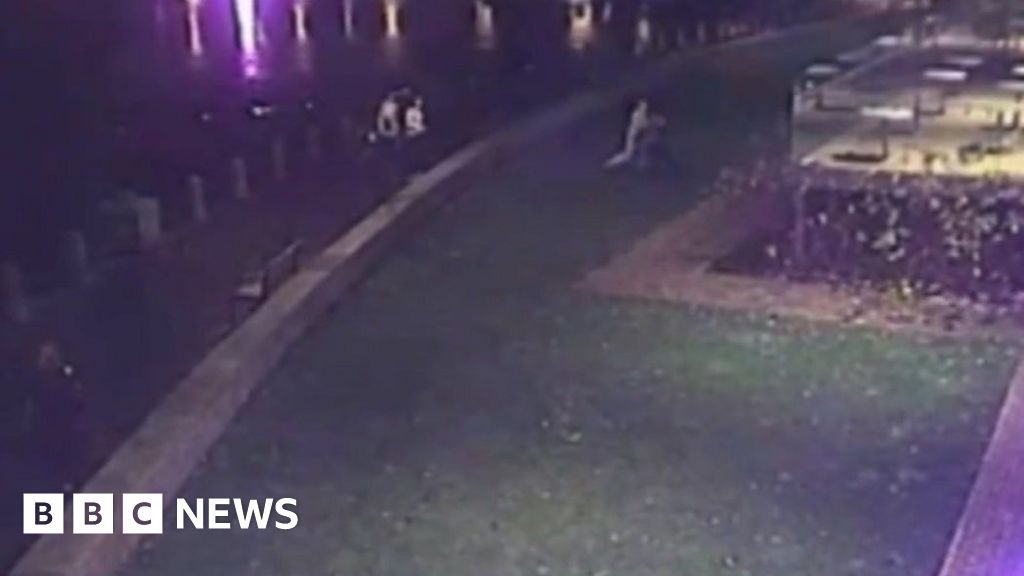 Park 'attack' video gets million online hits - BBC News