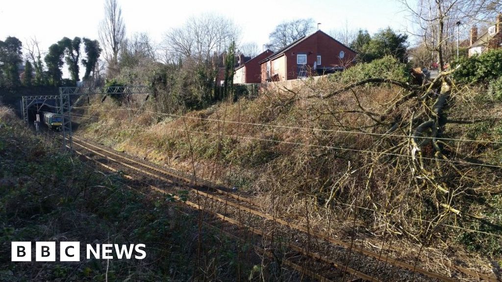 Birmingham train passengers 'stuck' after tree fall - BBC News
