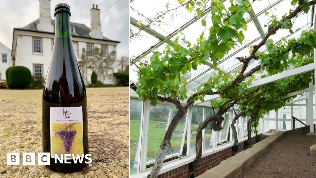 Rare beer raises money for Dr Jenner museum - BBC News