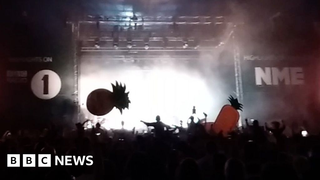Glass Animals fans make light of Reading pineapple ban