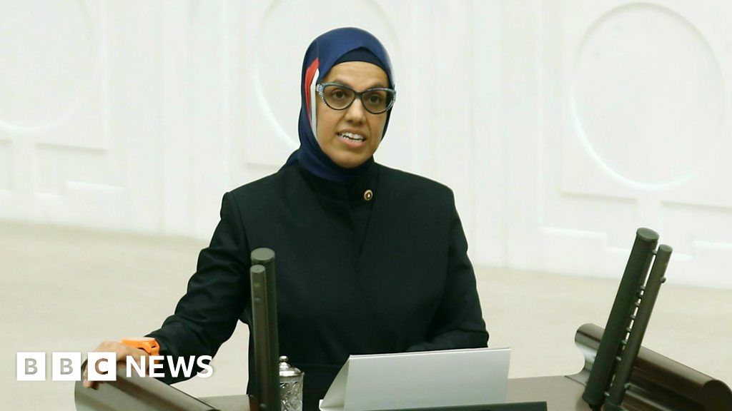 Turkish MP defends further mass arrests - BBC News