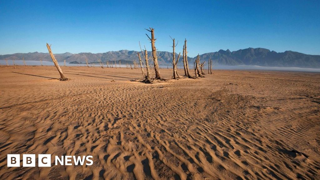 Drought-hit Cape Town rejoices at rainfall - BBC News
