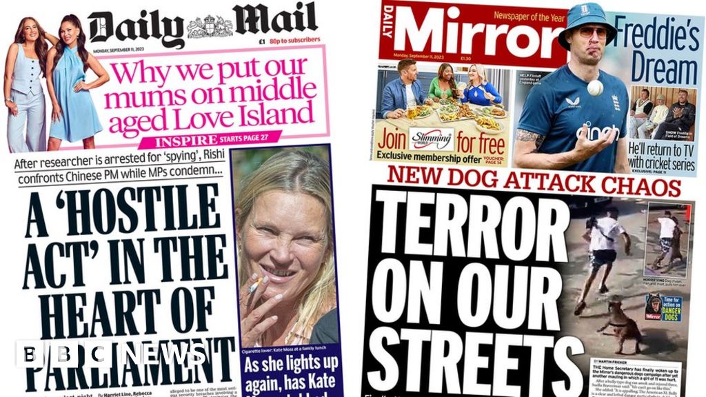 'Hostile act in Parliament' and dog 'terror on streets' - BBC News