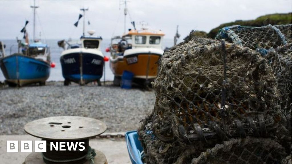 Irish TDs vote for reciprocal fishing agreement - BBC News