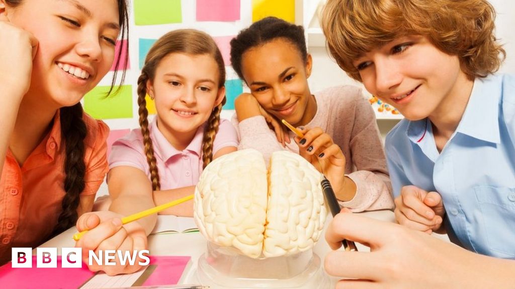 Teenage brains 'not wired for high stakes' - BBC News