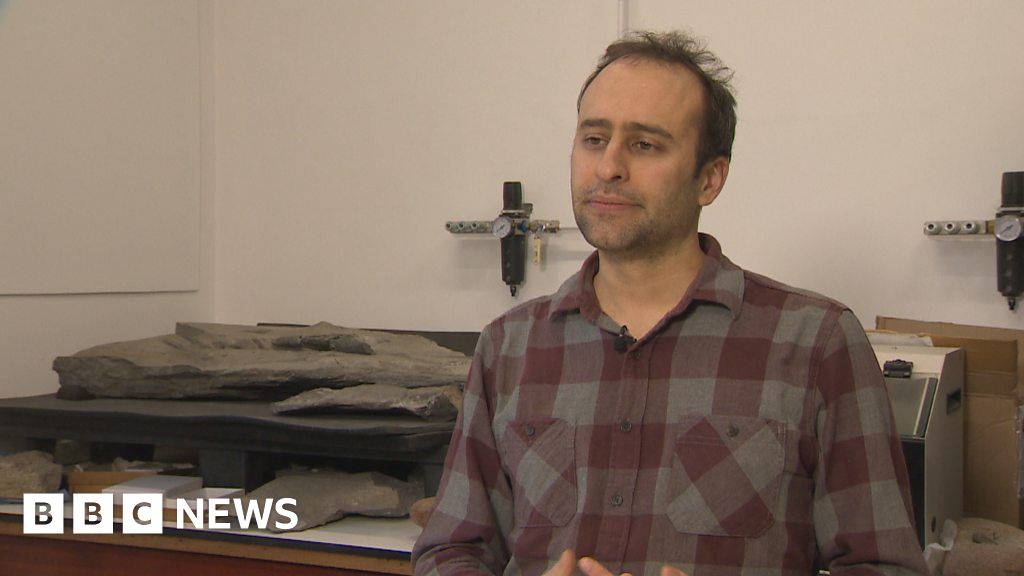 Palaeontologist Steve Brusatte on Skye's fossil finds - BBC News