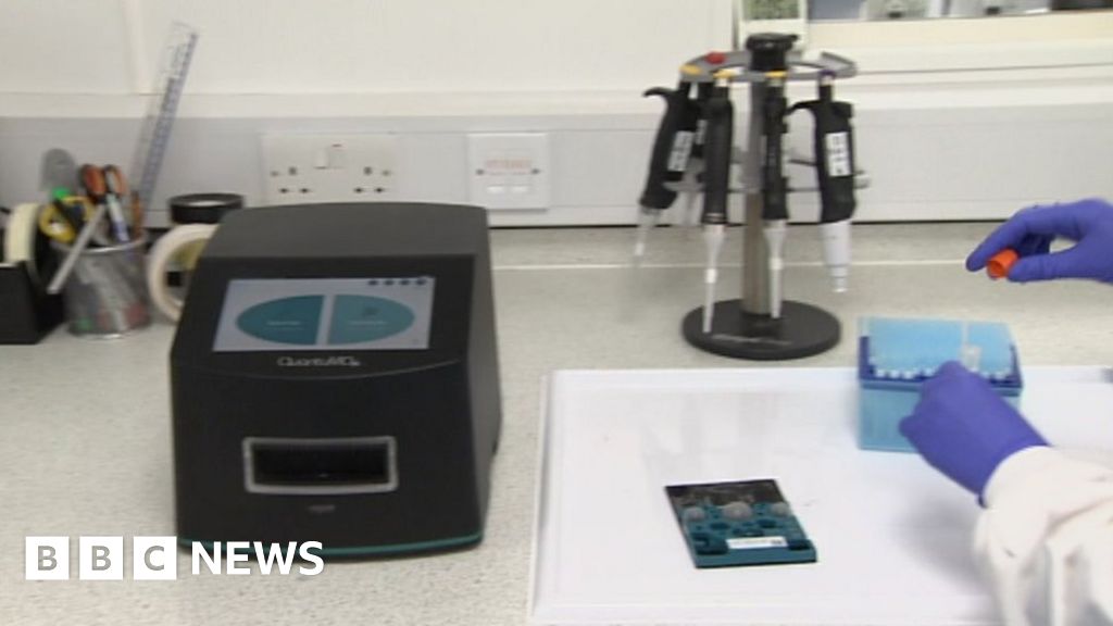 'Mini lab' hope for quick Covid test results