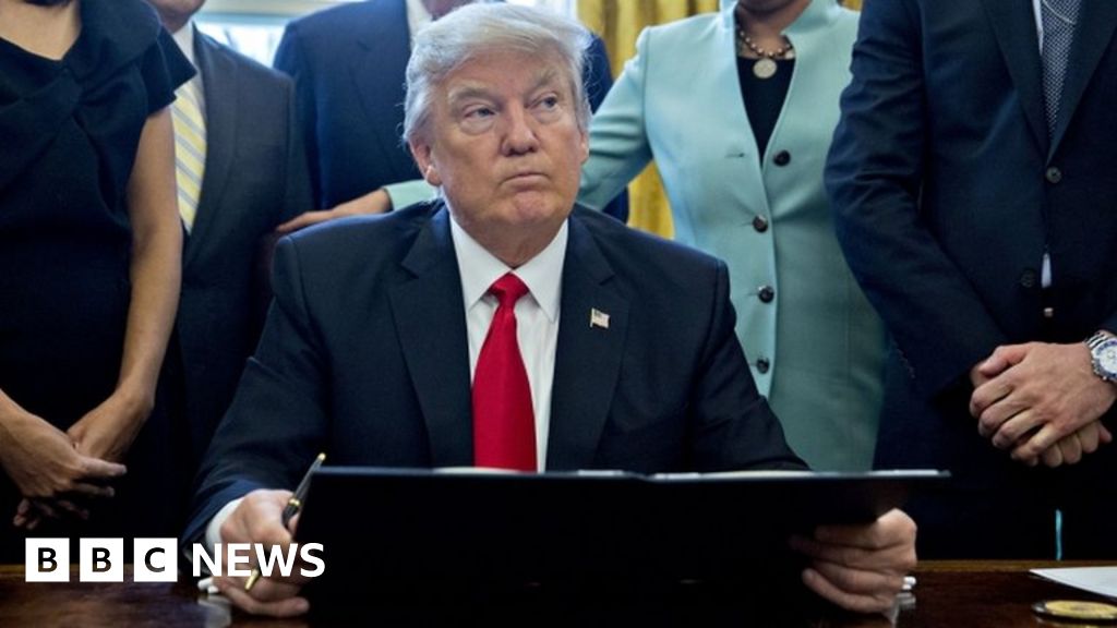 Will the US entry ban affect the fight against IS? - BBC News