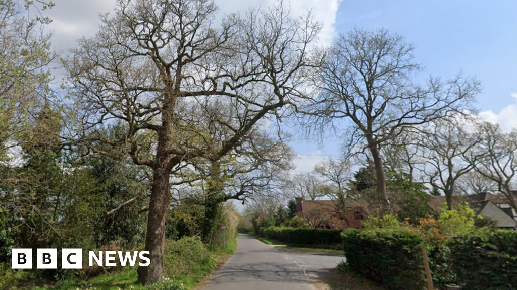 Sulhamstead: Motorcyclist dies after hitting tree - BBC News