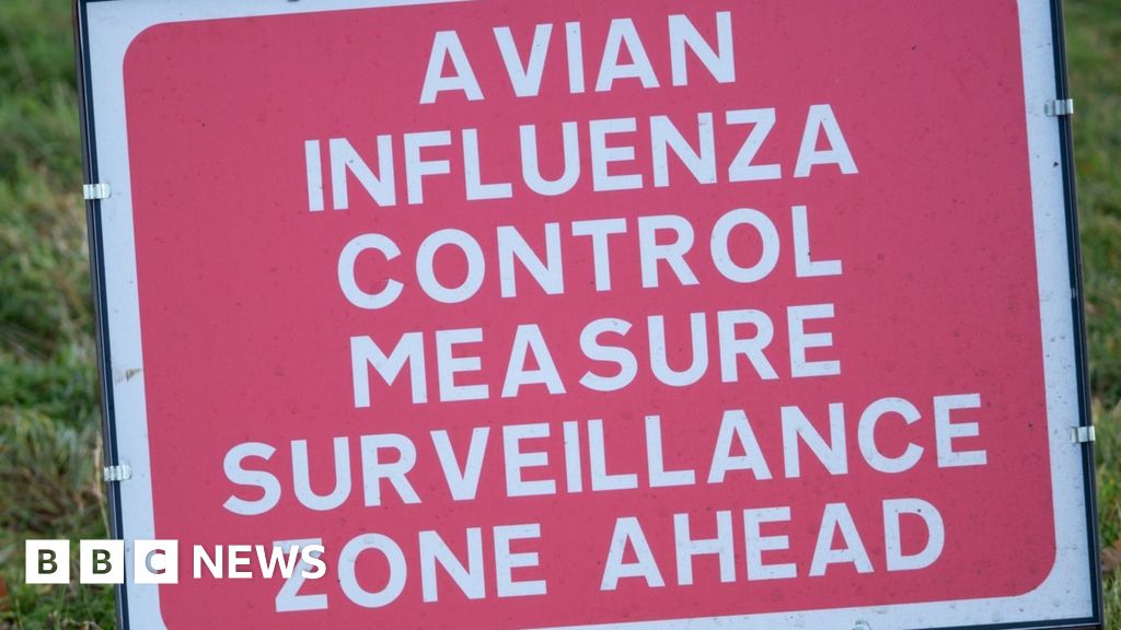 Suffolk has fifth bird flu outbreak within a month
