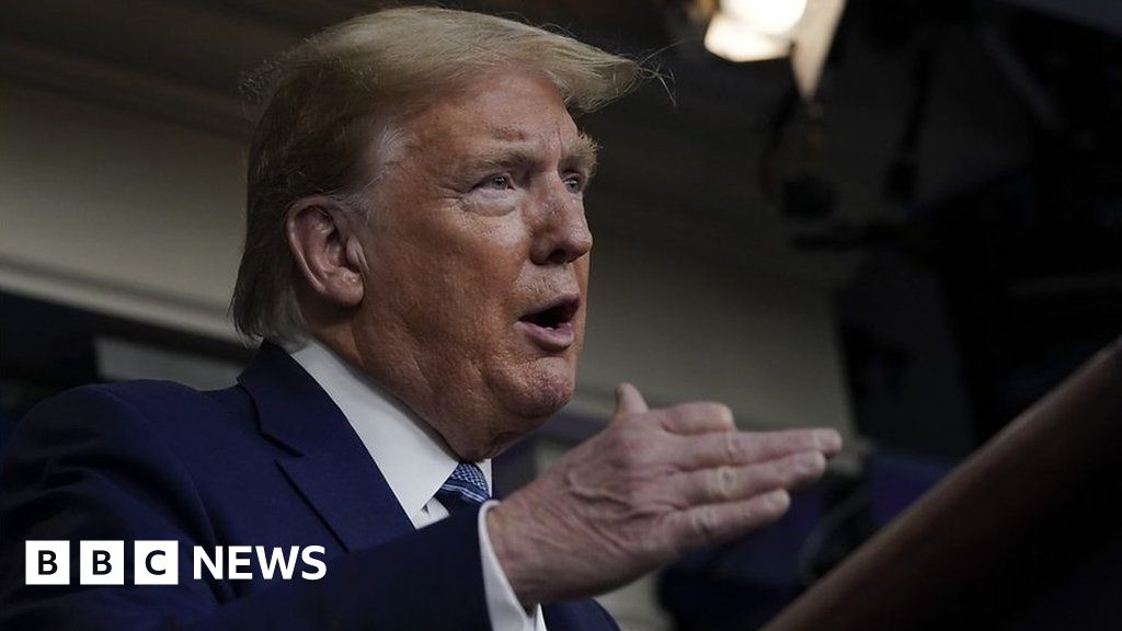 Trump outlines his rationale for green card ban