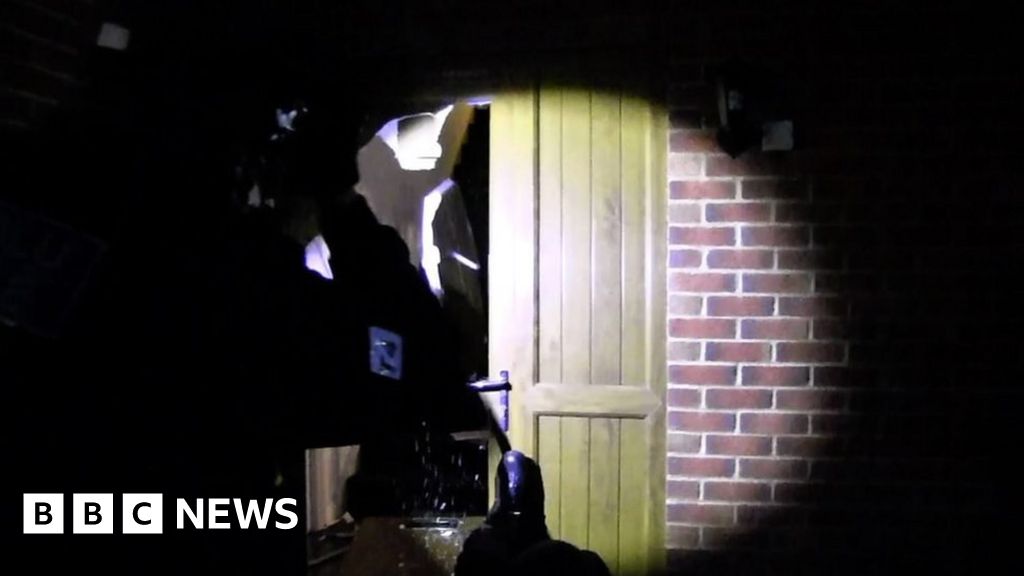 Police raid cannabis den as part of £6m haul - BBC News