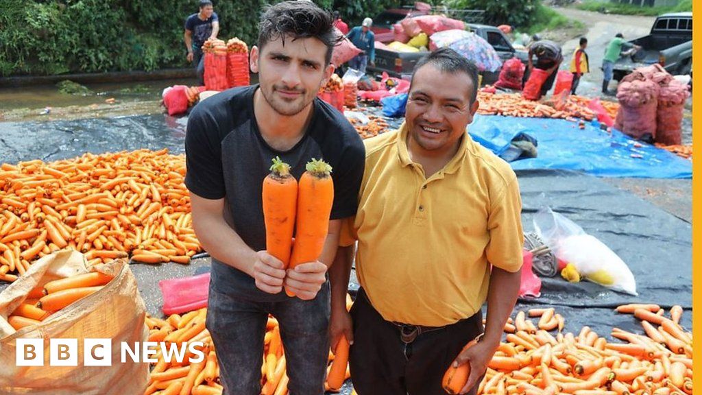 God's giant miracle carrots - BBC News