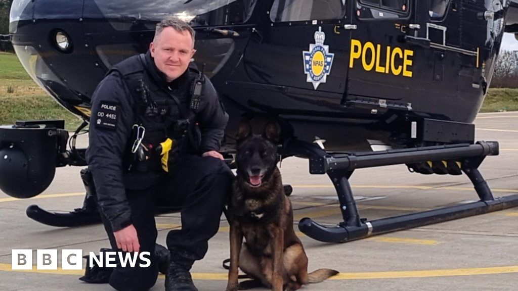 'Big softy' Avon and Somerset police dog retires - BBC News