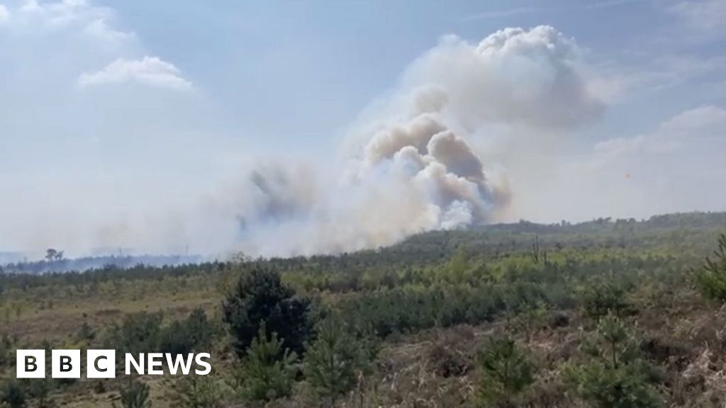Pirbright: Fire crews scaled back at scrubland blazes - BBC News